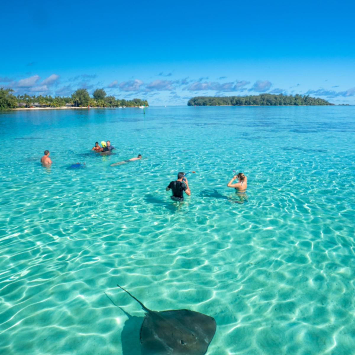 Picnic on a motu | Tahiti Tourisme – Official website of The Islands of ...