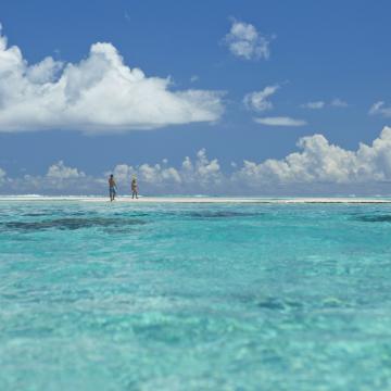 Tikehau | Tahiti Tourisme – Site officiel de Tahiti Et Ses îles