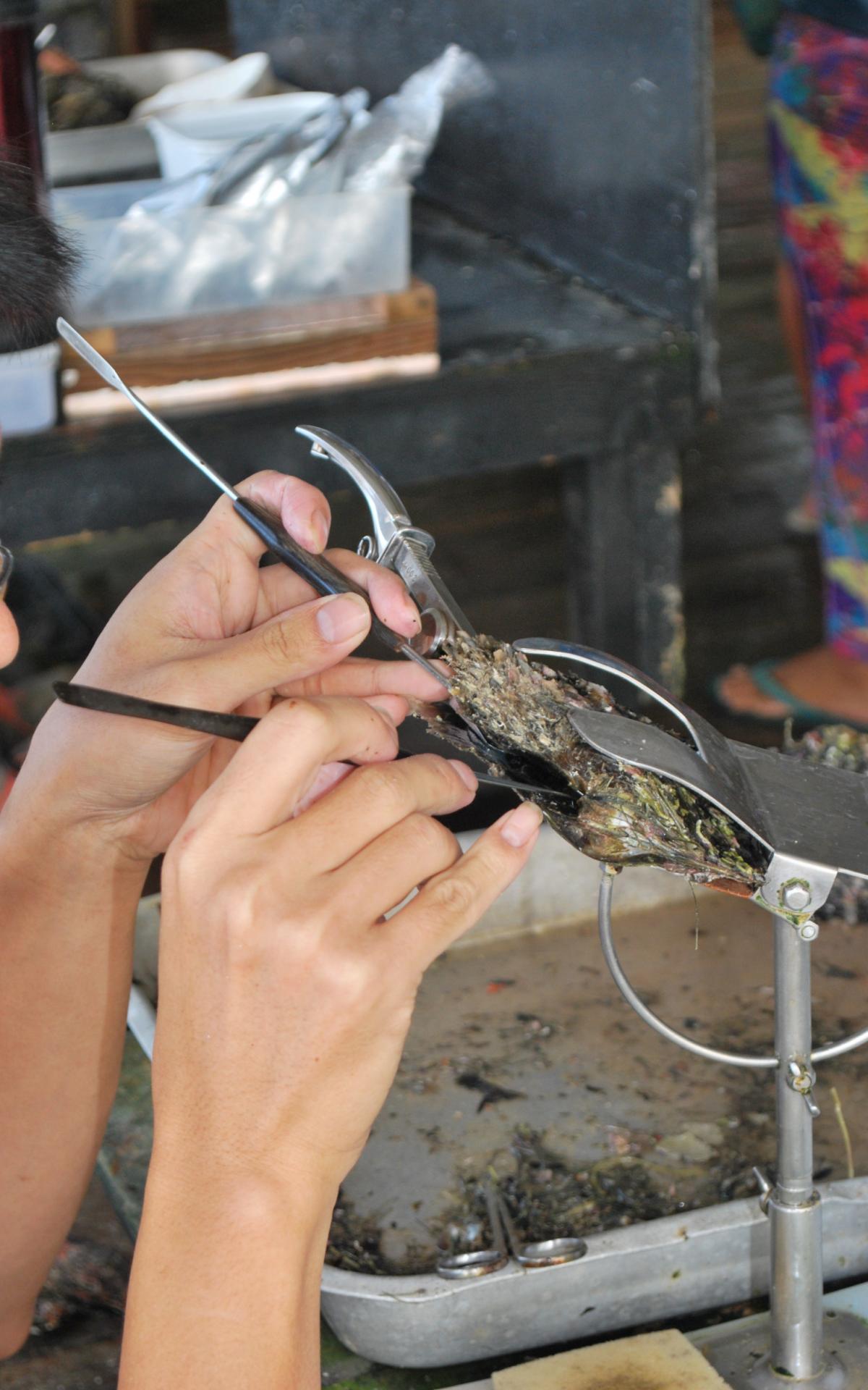 Mangareva | Tahiti Tourisme – Site officiel de Tahiti Et Ses îles