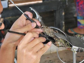 Mangareva | Tahiti Tourisme: Welcome to the official website of Tahiti ...