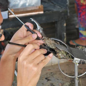 Mangareva | Tahiti Tourisme: Welcome to the official website of Tahiti ...