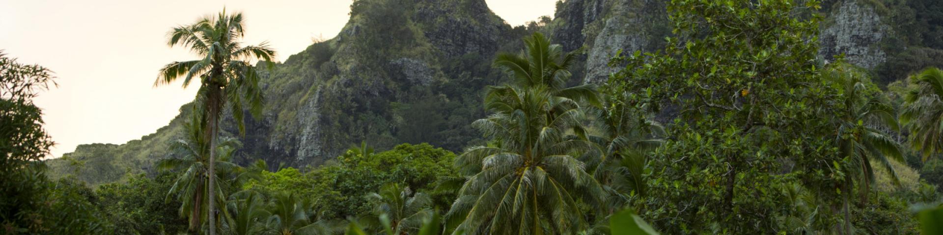 What to see in Hiva Oa | Tahiti Tourisme – Official website of The ...