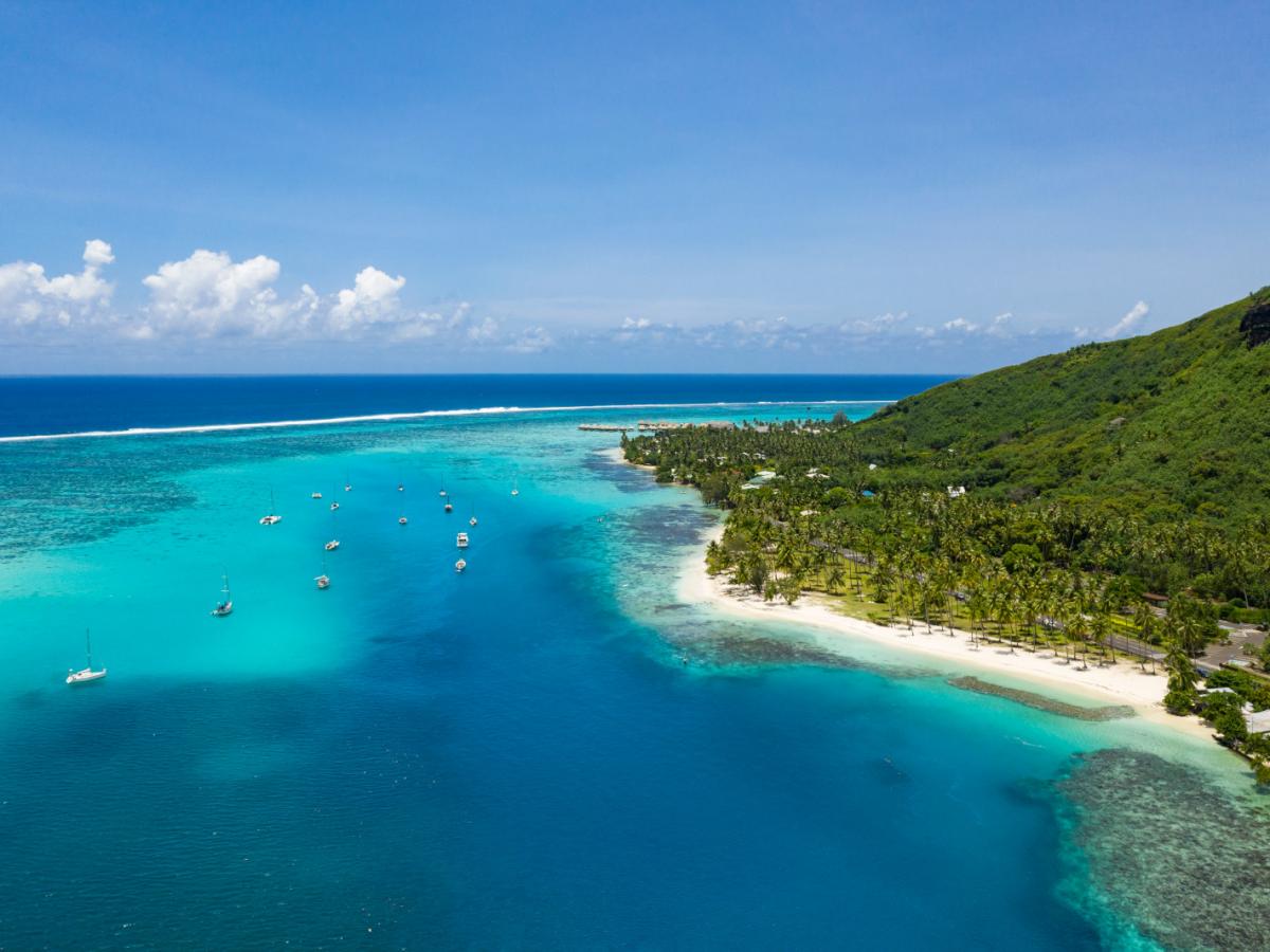 Tasting the juices and spirits of Moorea | Tahiti Tourisme – Official ...