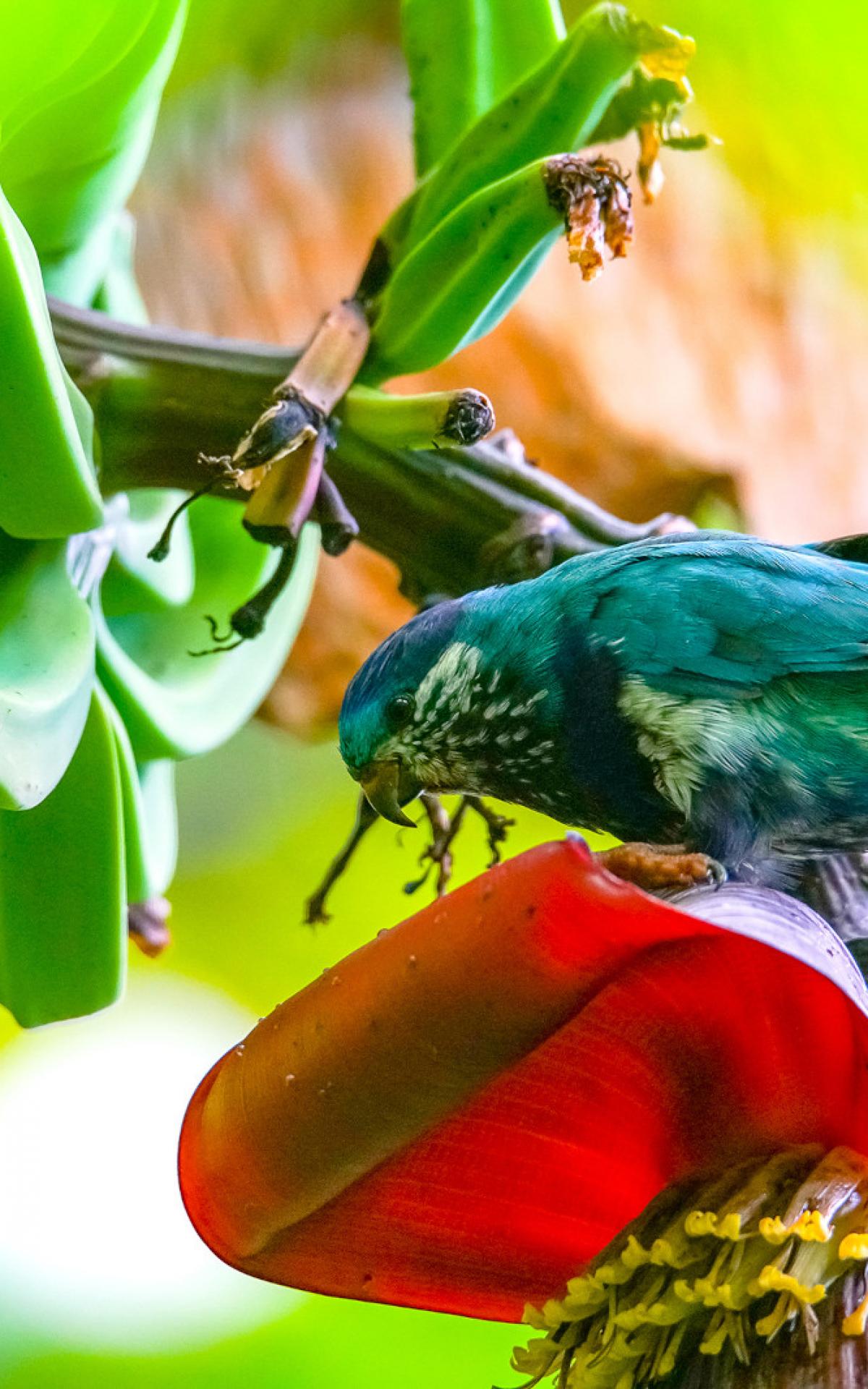 Ua Huka | Tahiti Tourisme – Site officiel de Tahiti Et Ses îles