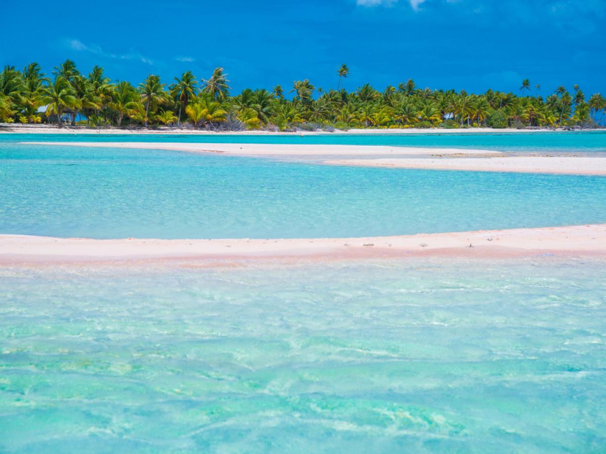 Whale season | Tahiti Tourisme: Welcome to the official website of ...