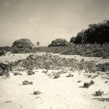 The Austral Islands | Tahiti Tourisme – Official website of The Islands ...