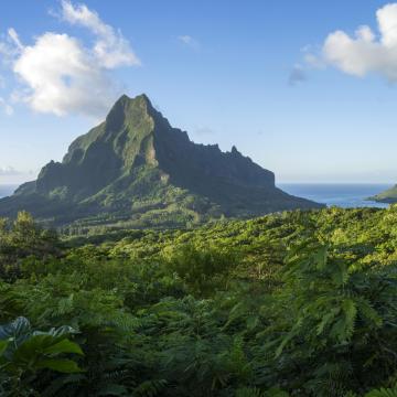 Escapade à Moorea | Tahiti Tourisme – Site officiel de Tahiti Et Ses îles