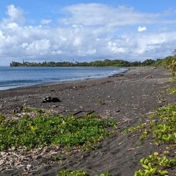 Exploring Tahiti’s peninsula | Tahiti Tourisme – Official website of ...