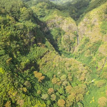 Escapade à Nuku Hiva | Tahiti Tourisme – Site officiel de Tahiti Et Ses ...
