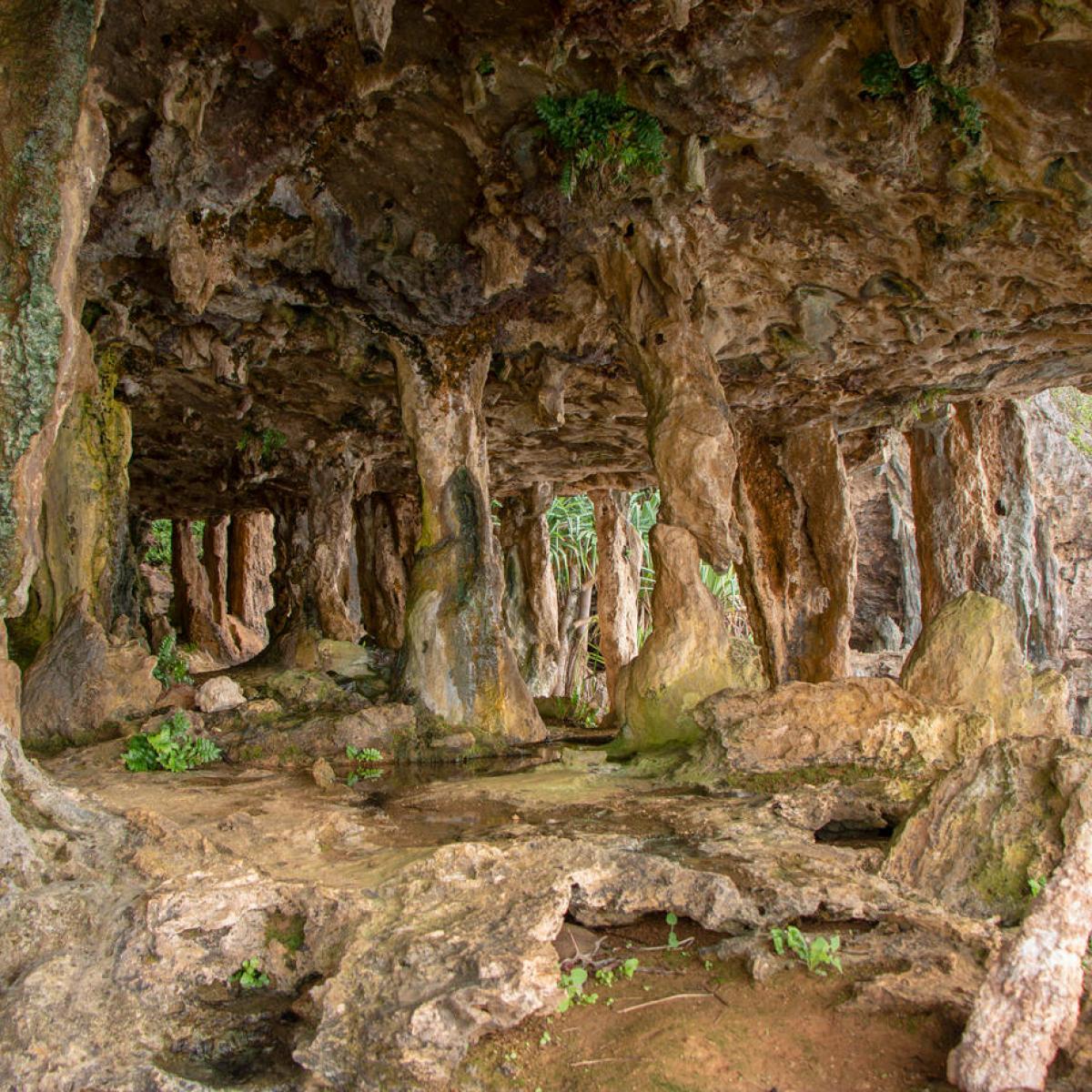 Explorer les multiples grottes de Rurutu | Tahiti Tourisme – Site ...