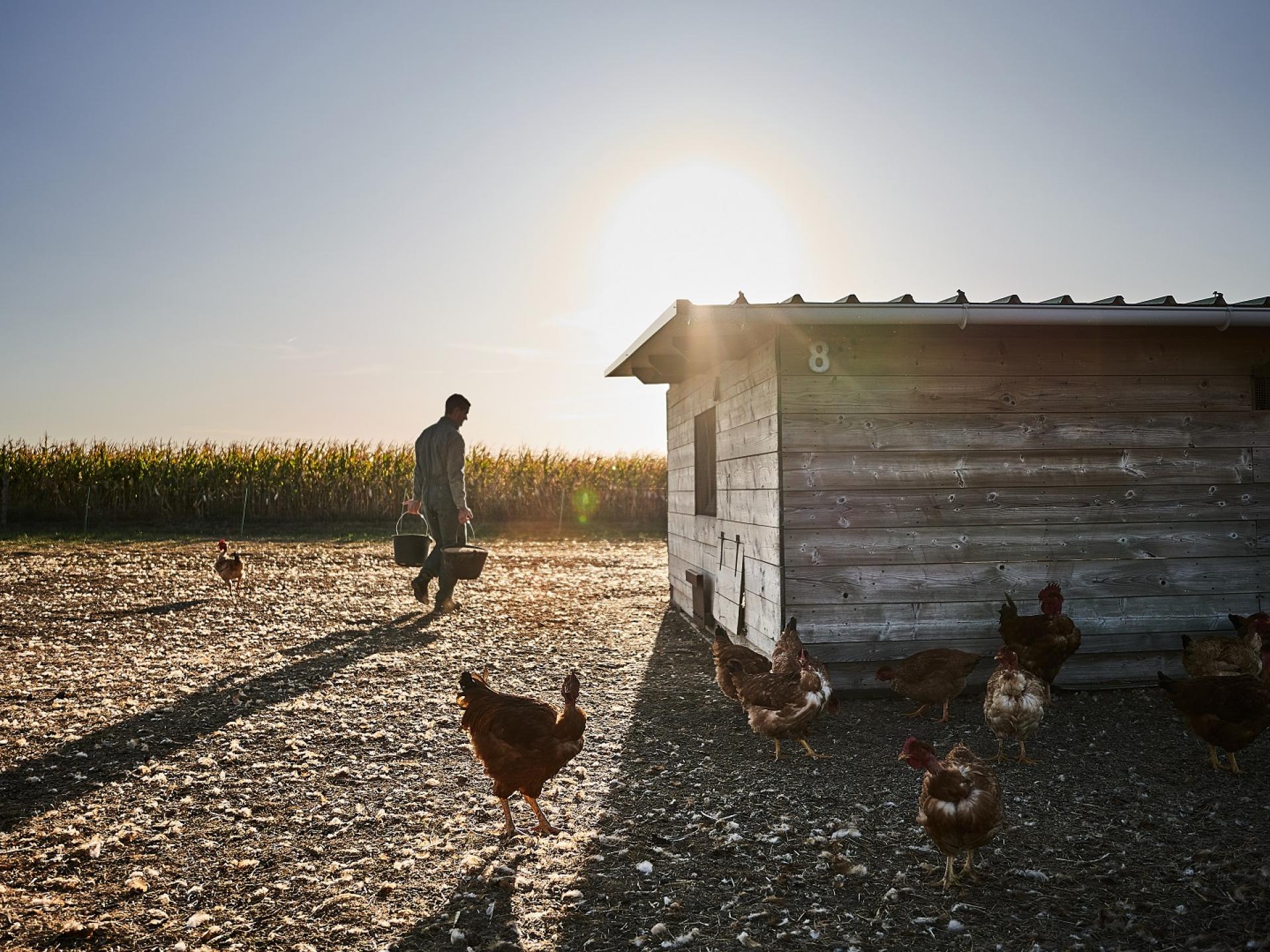 Ferme de la Martinière | Manger Local à Paris Saclay