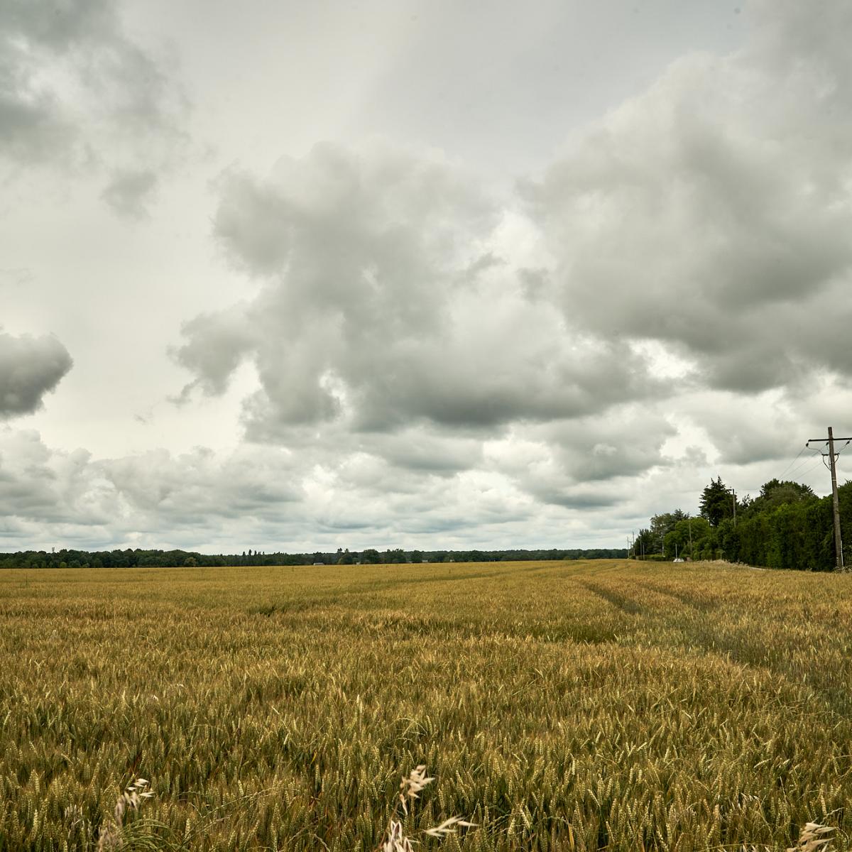 Ferme Collay | Manger Local à Paris Saclay