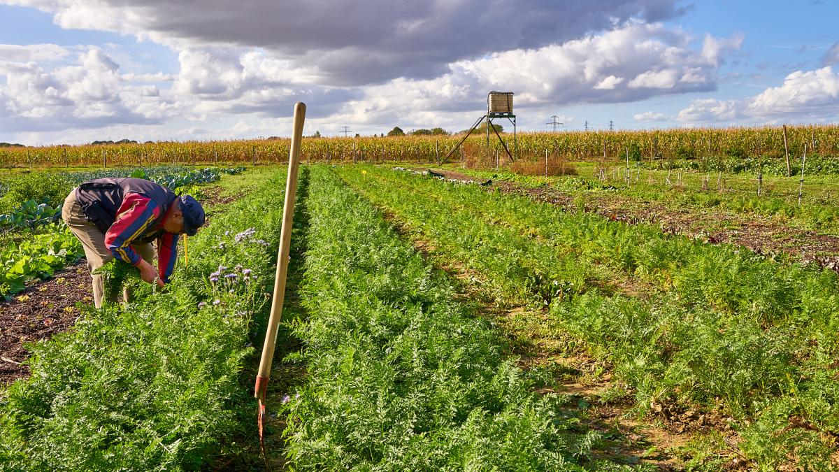 Comprendre les modes de production | Manger Local à Paris Saclay