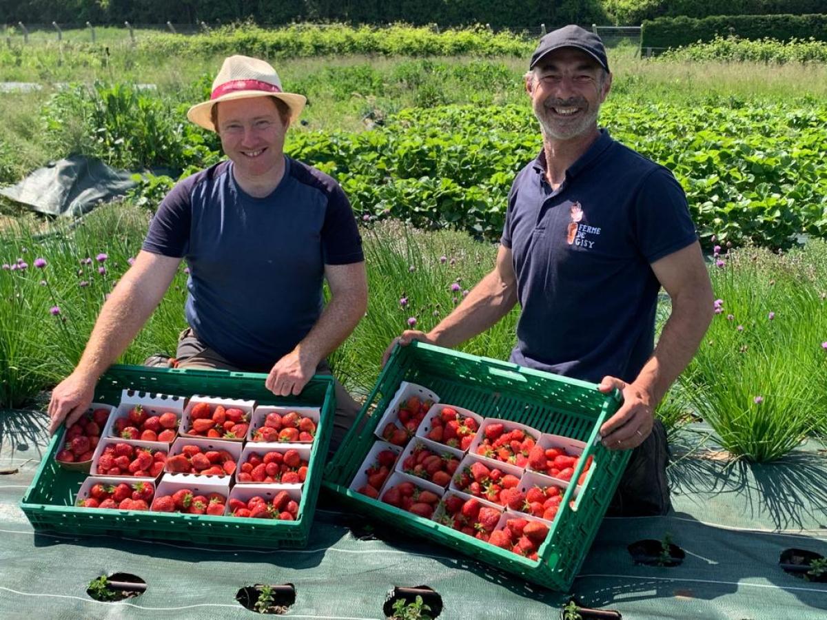 Ferme de Gisy | Manger Local à Paris Saclay