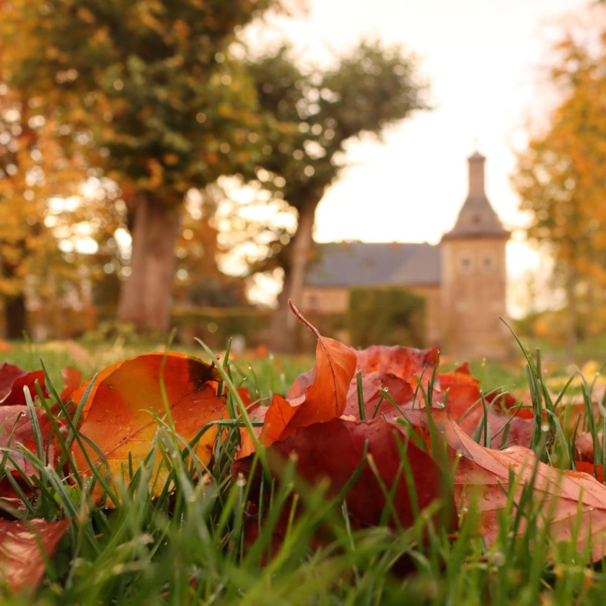 Château de Jehay et sa façade en damier | Maison du Tourisme Terres-de ...