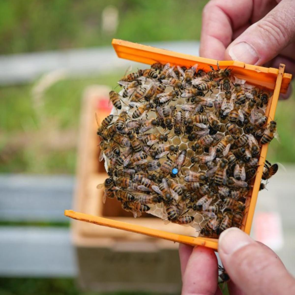 Découverte du Condroz | Maison du Tourisme Terres-de-Meuse