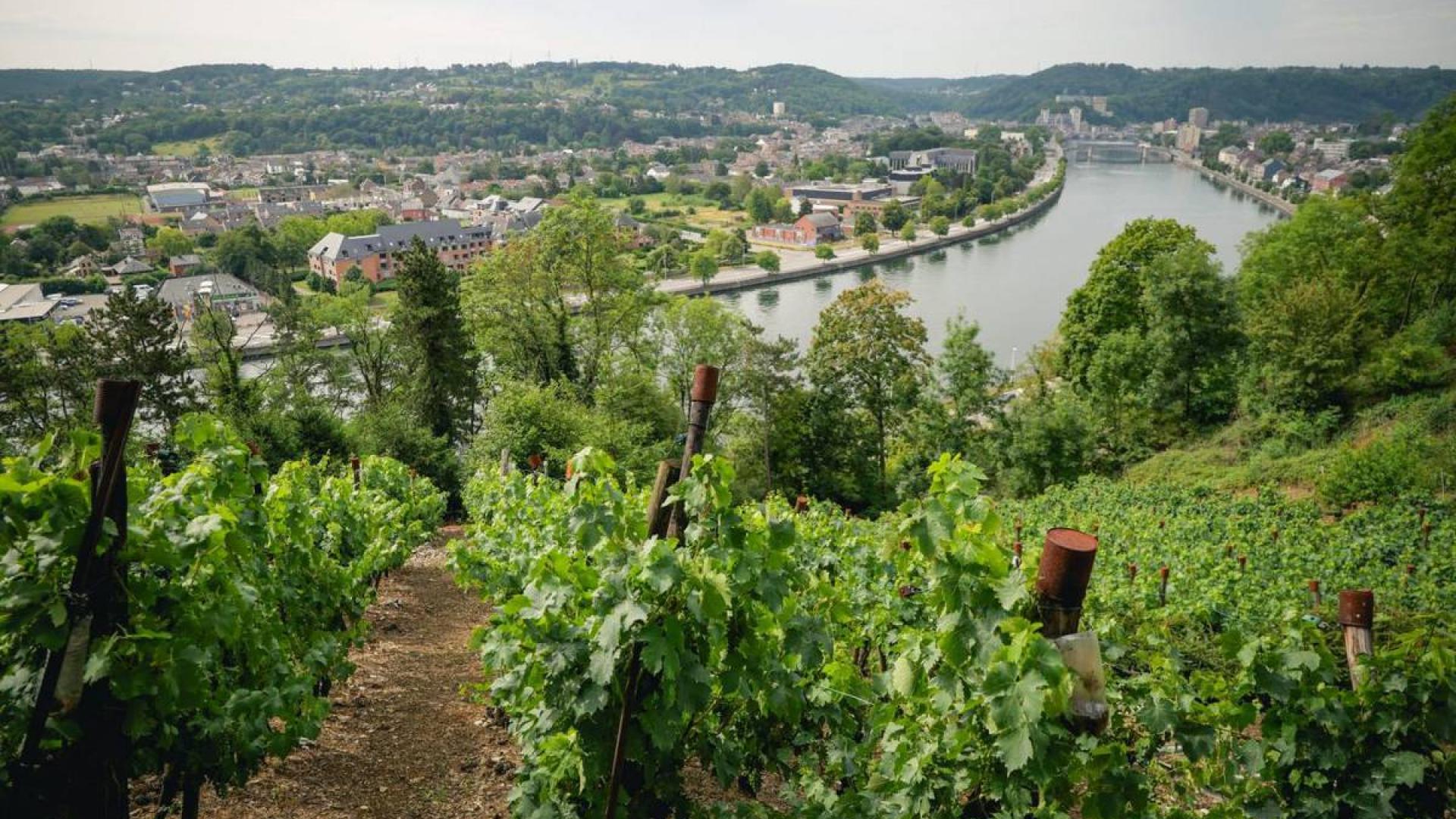Discover the Meuse Valley | Terres-de-Meuse Tourist Office