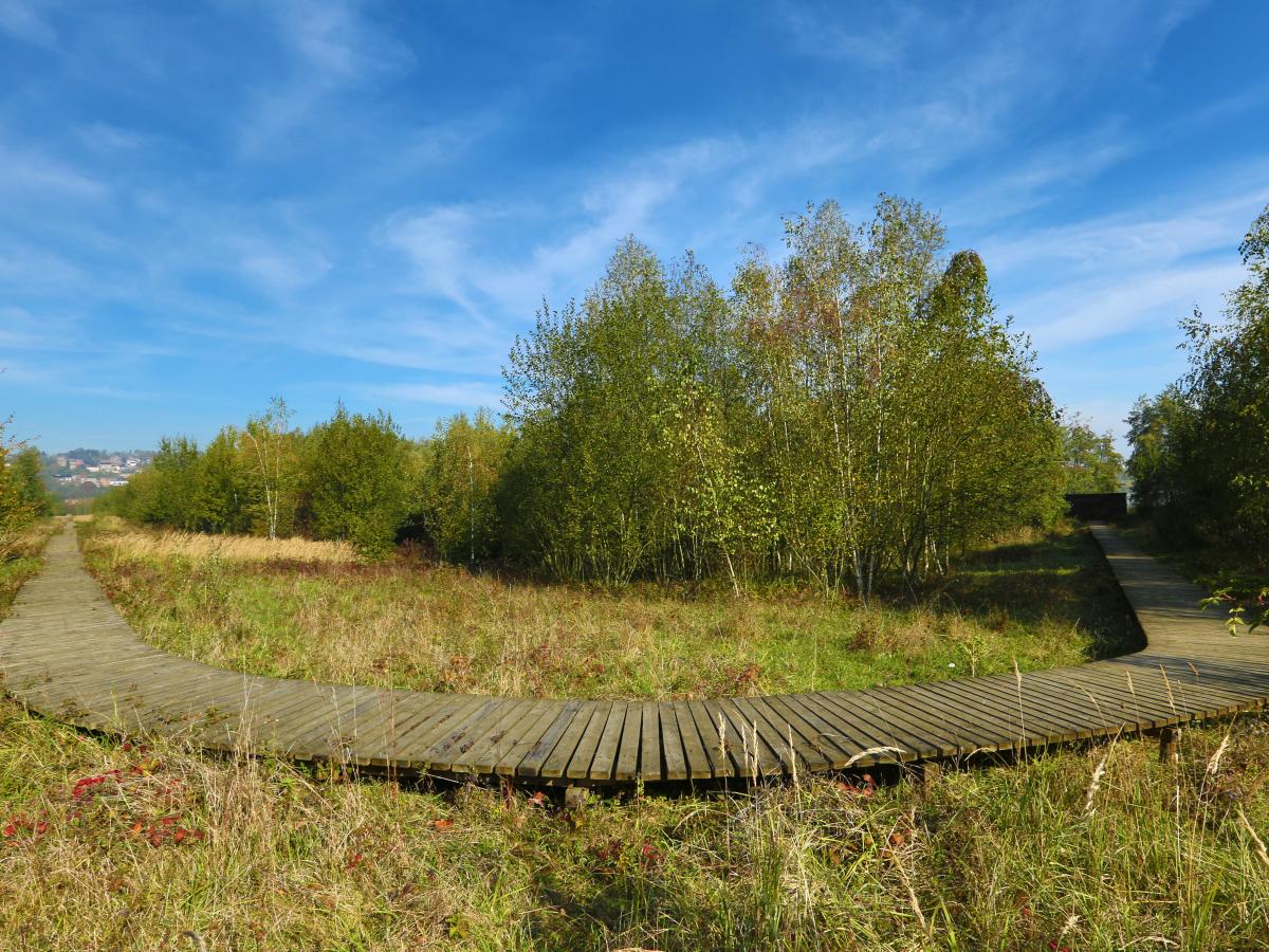 Meer van Gravière | Toeristische dienst Terres-de-Meuse