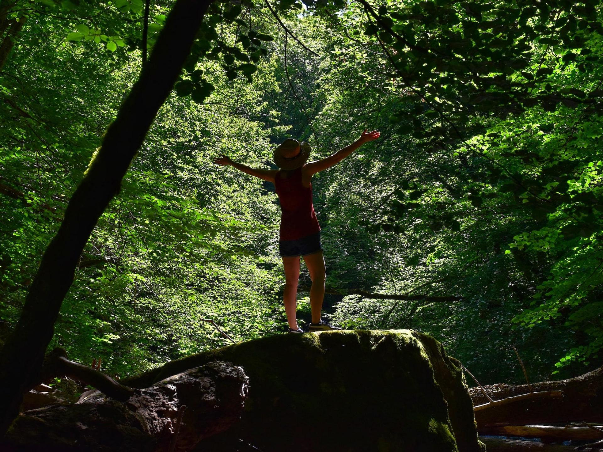 Top 10 things to see in Limousin | Limousin – Nouveaux Horizons