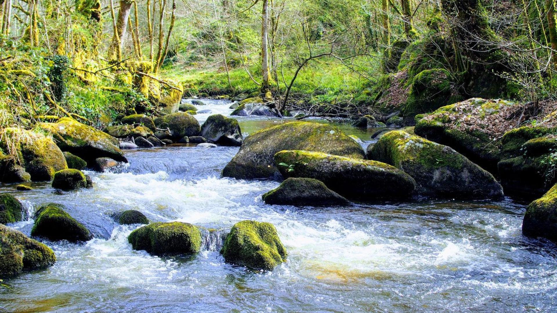 Great loop of the Périgord-Limousin regional natural park | Limousin ...