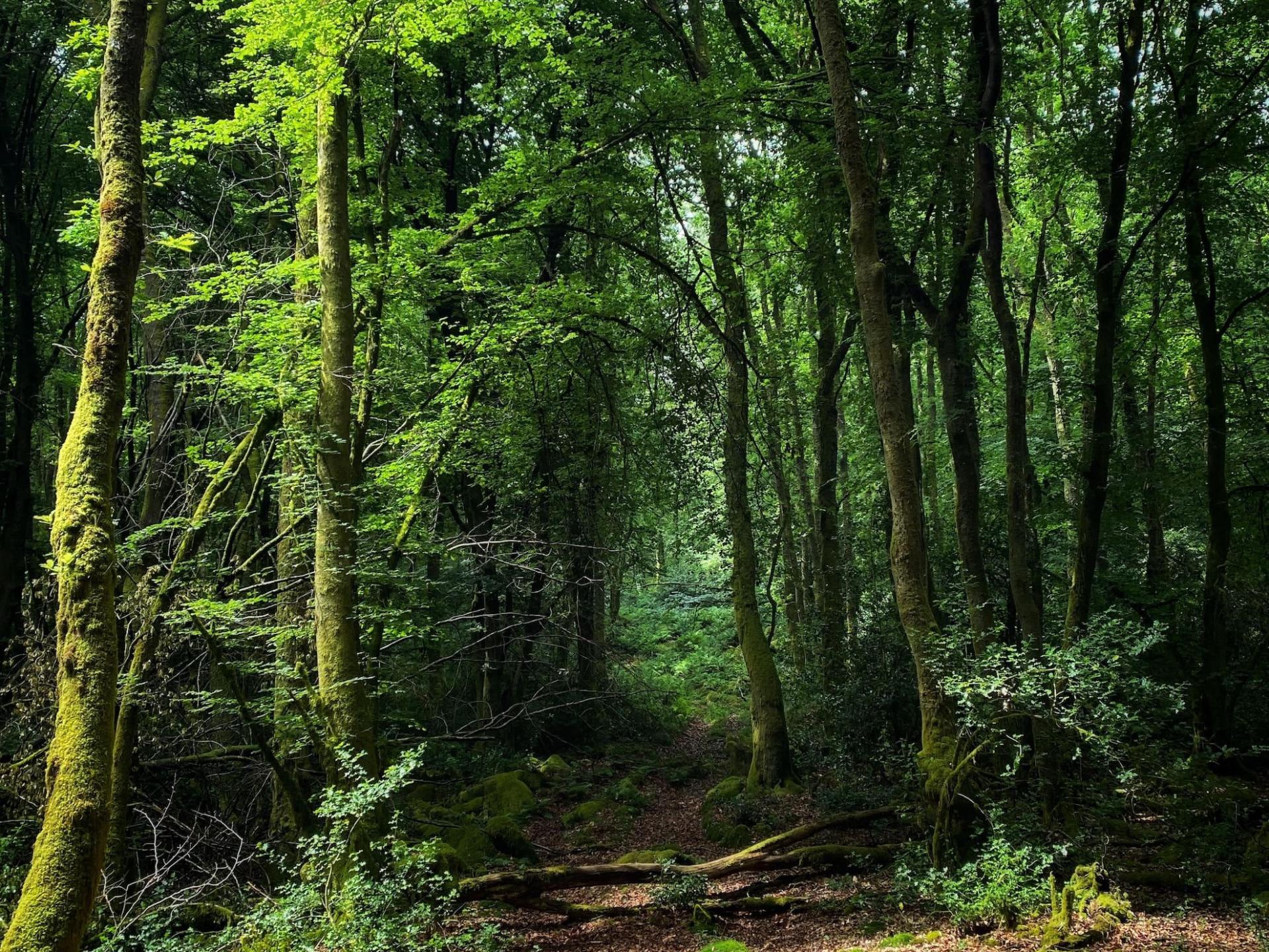 Top 10 things to see in Limousin | Limousin – Nouveaux Horizons