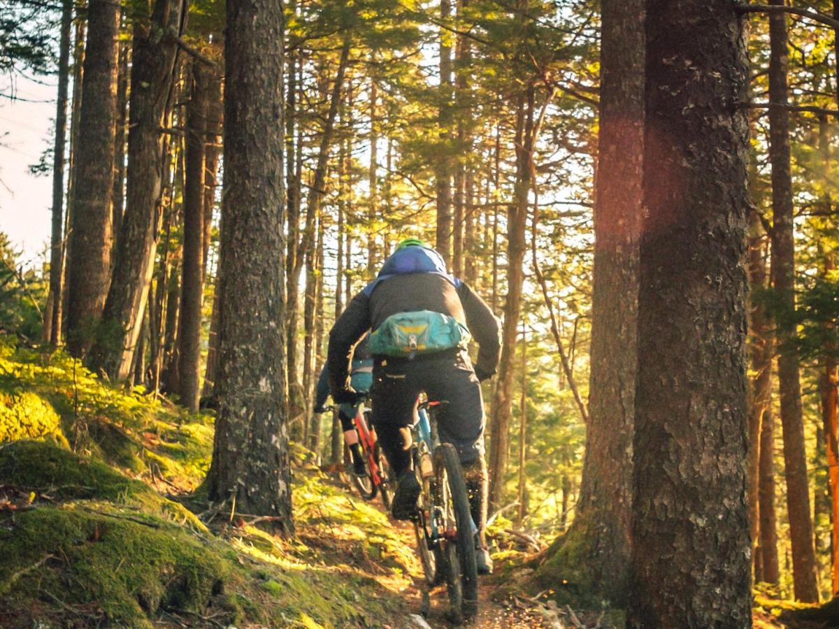 Notre sélection de balades à faire à VTT | Limousin – Nouveaux Horizons