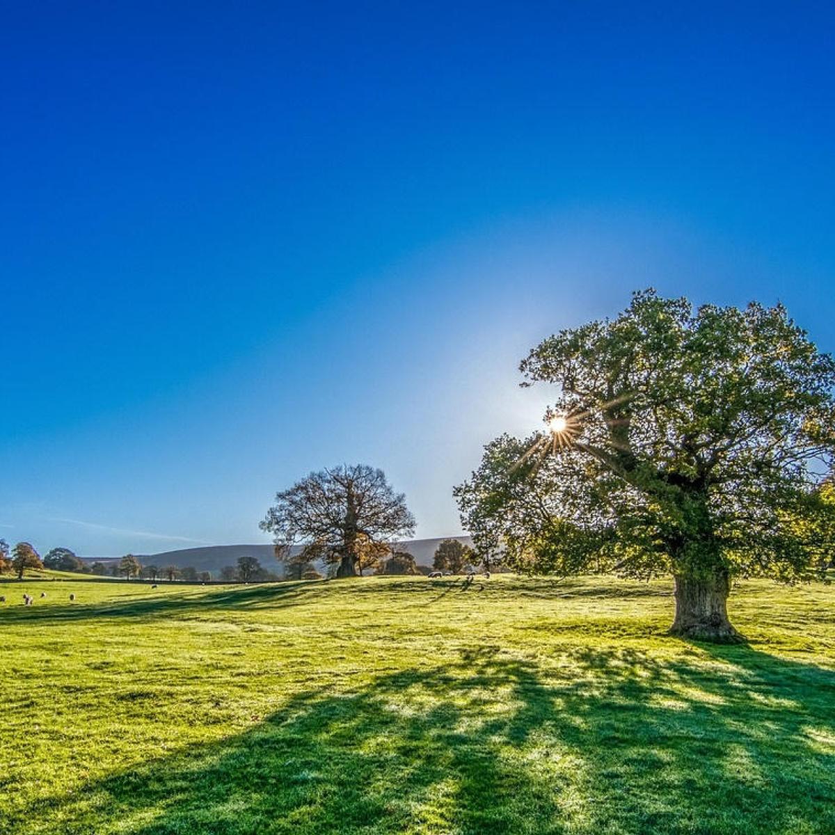 Discover | Limousin – Nouveaux Horizons