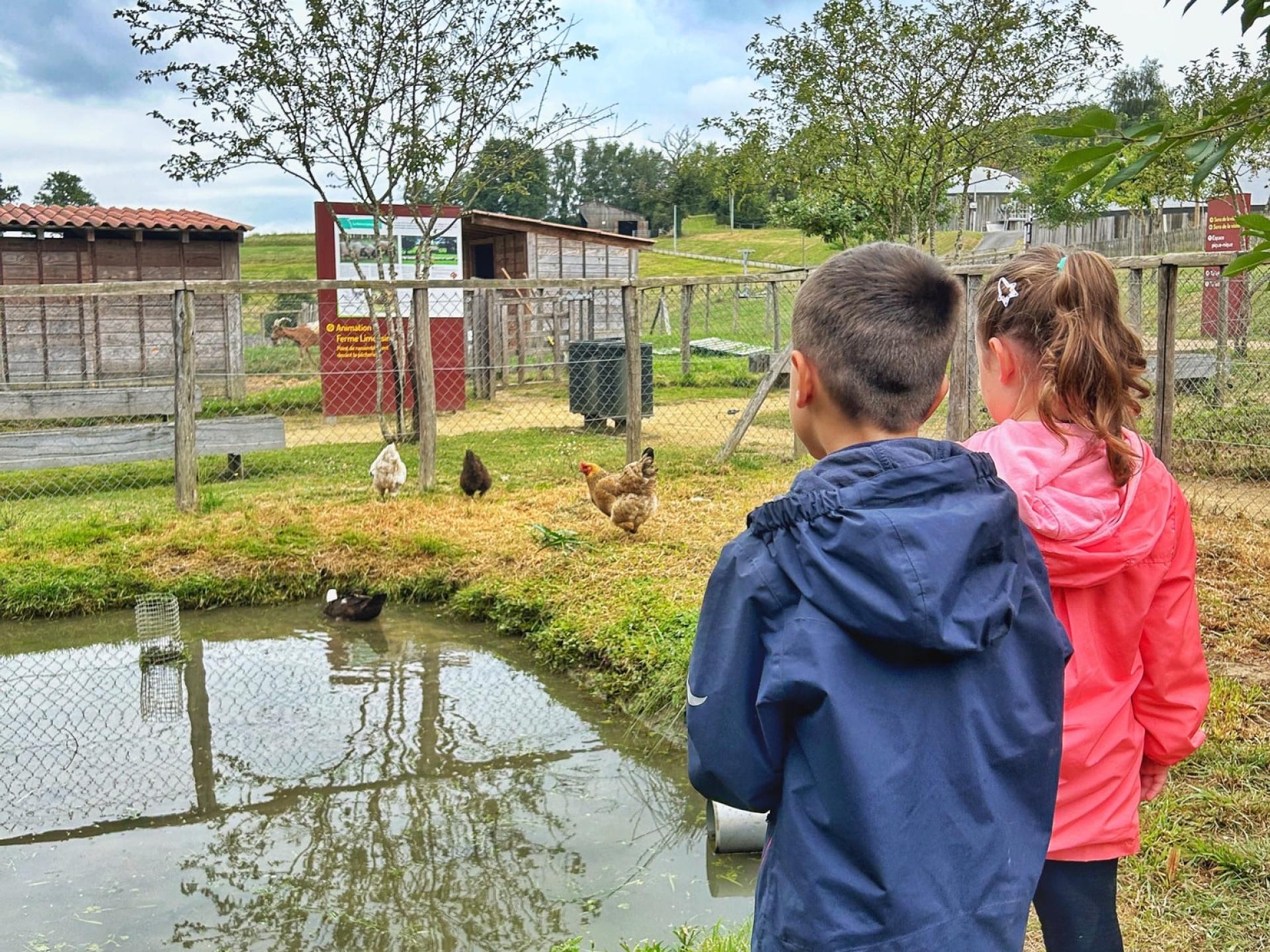 Limousine Park | Limousin – Nouveaux Horizons