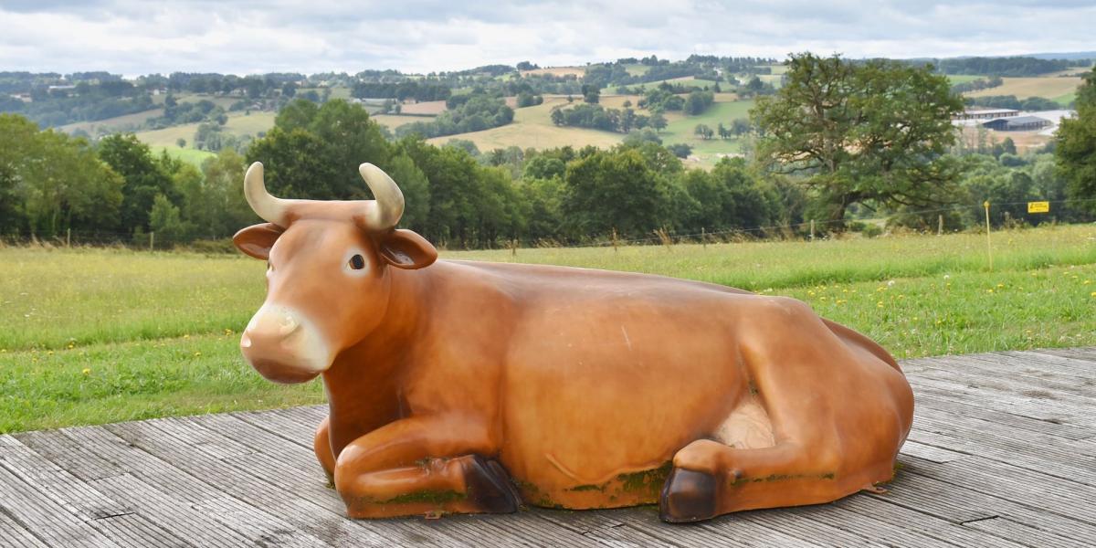 Limousine Park | Limousin – Nouveaux Horizons