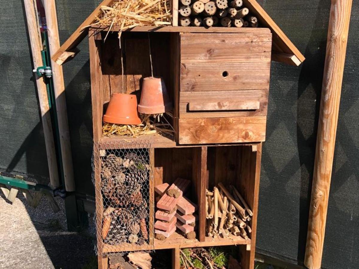 Construction d’un hôtel à insectes | Terroir de Caux
