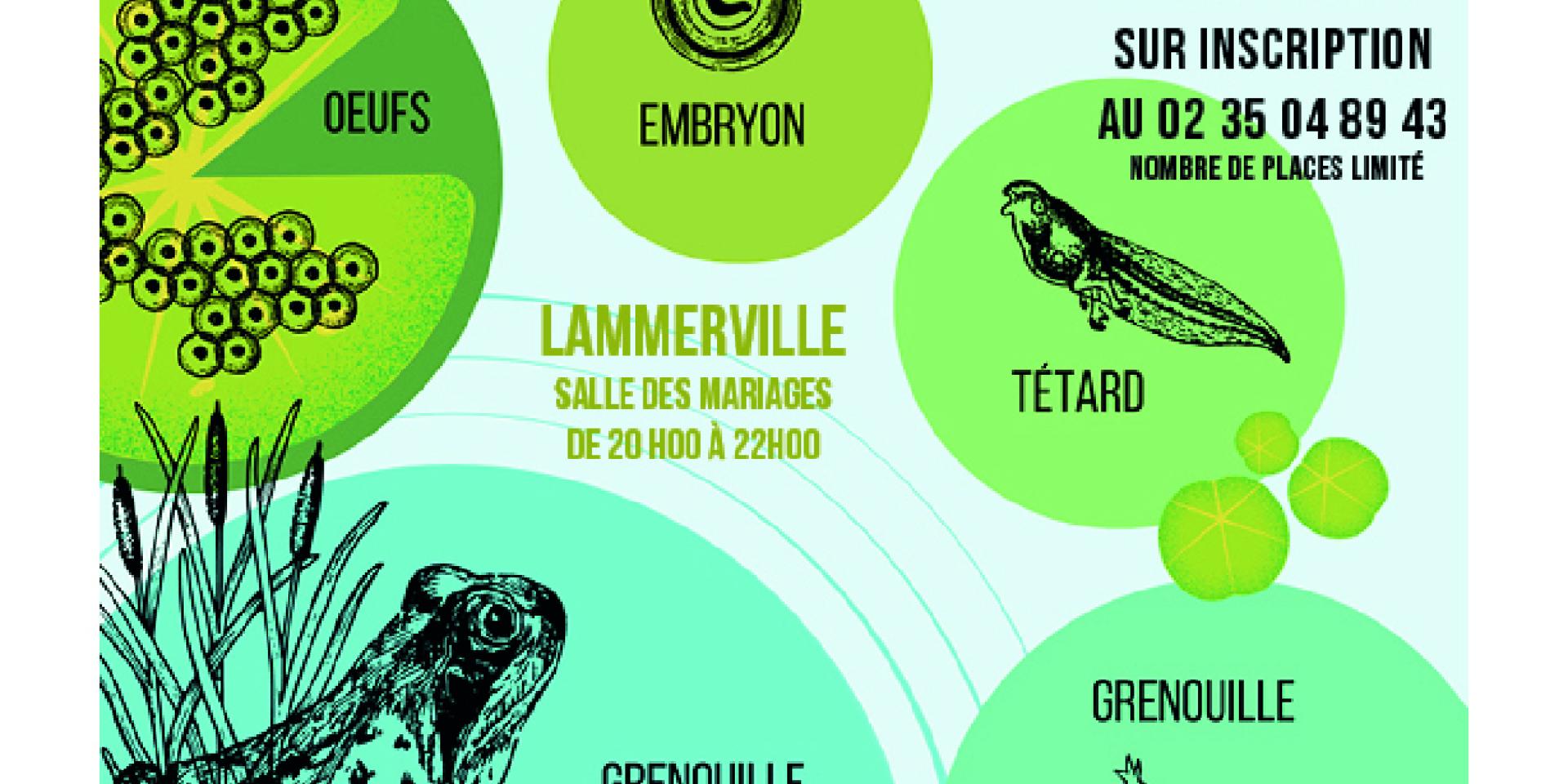 A la découverte des amphibiens | Terroir de Caux