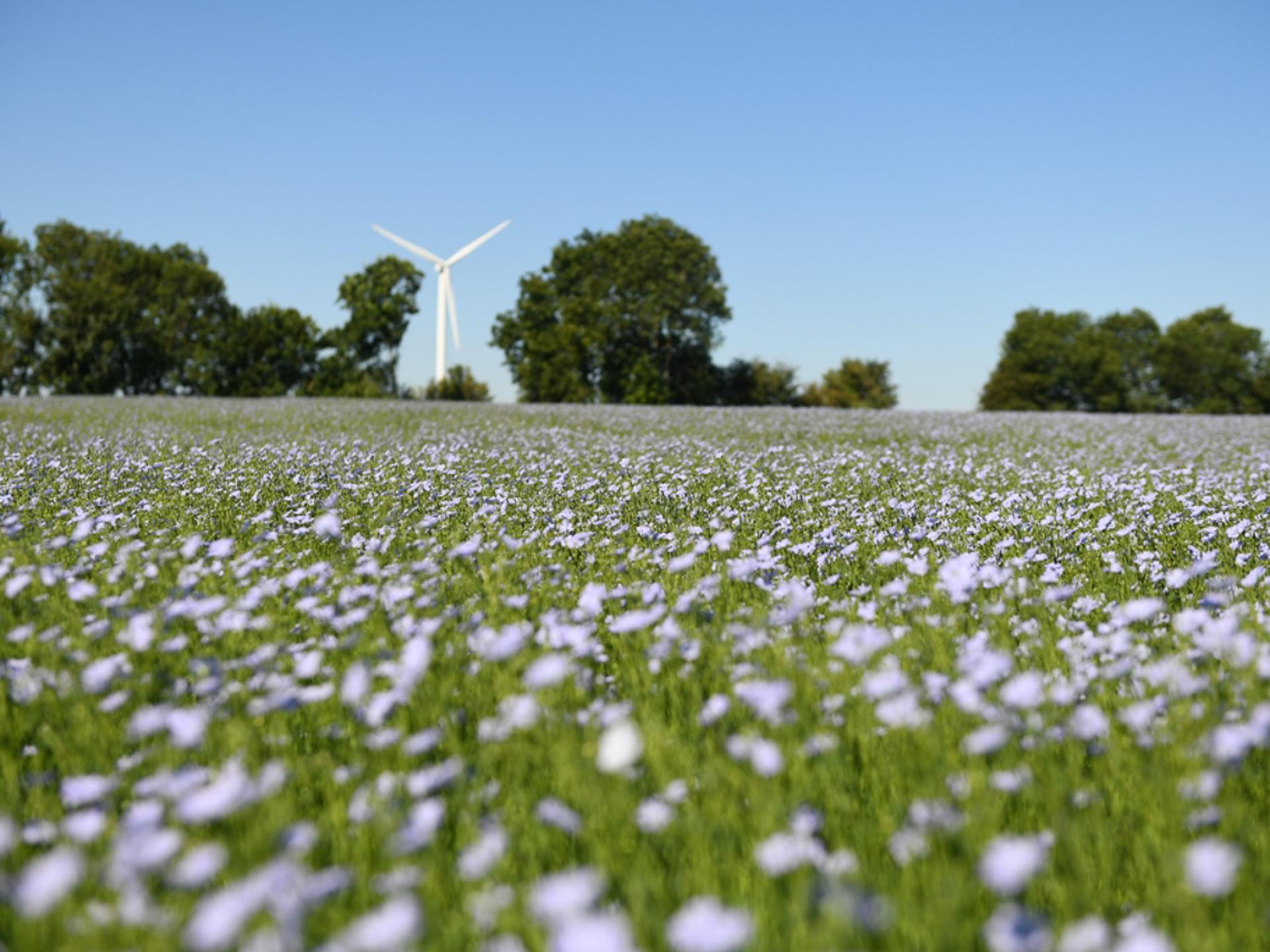 La Véloroute du lin® | Office de Tourisme Terroir de Caux – Normandie à ...
