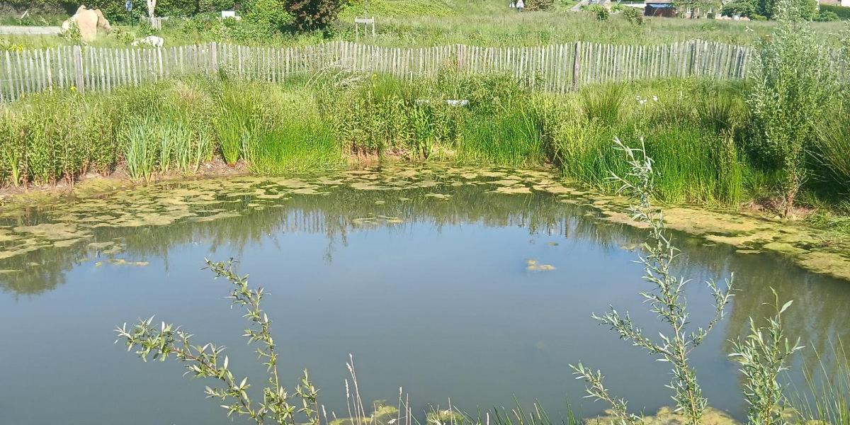 J’ai testé pour vous… la visite du marais de Longueil ! | Office de ...