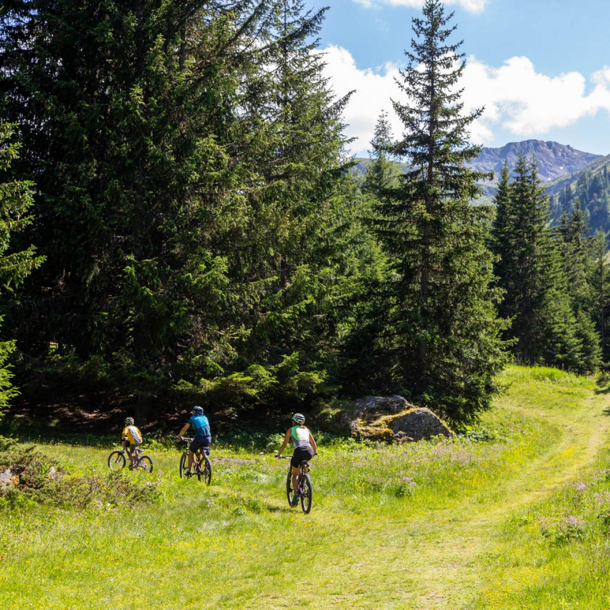 Willkommen in Thyon !| Thyon Région
