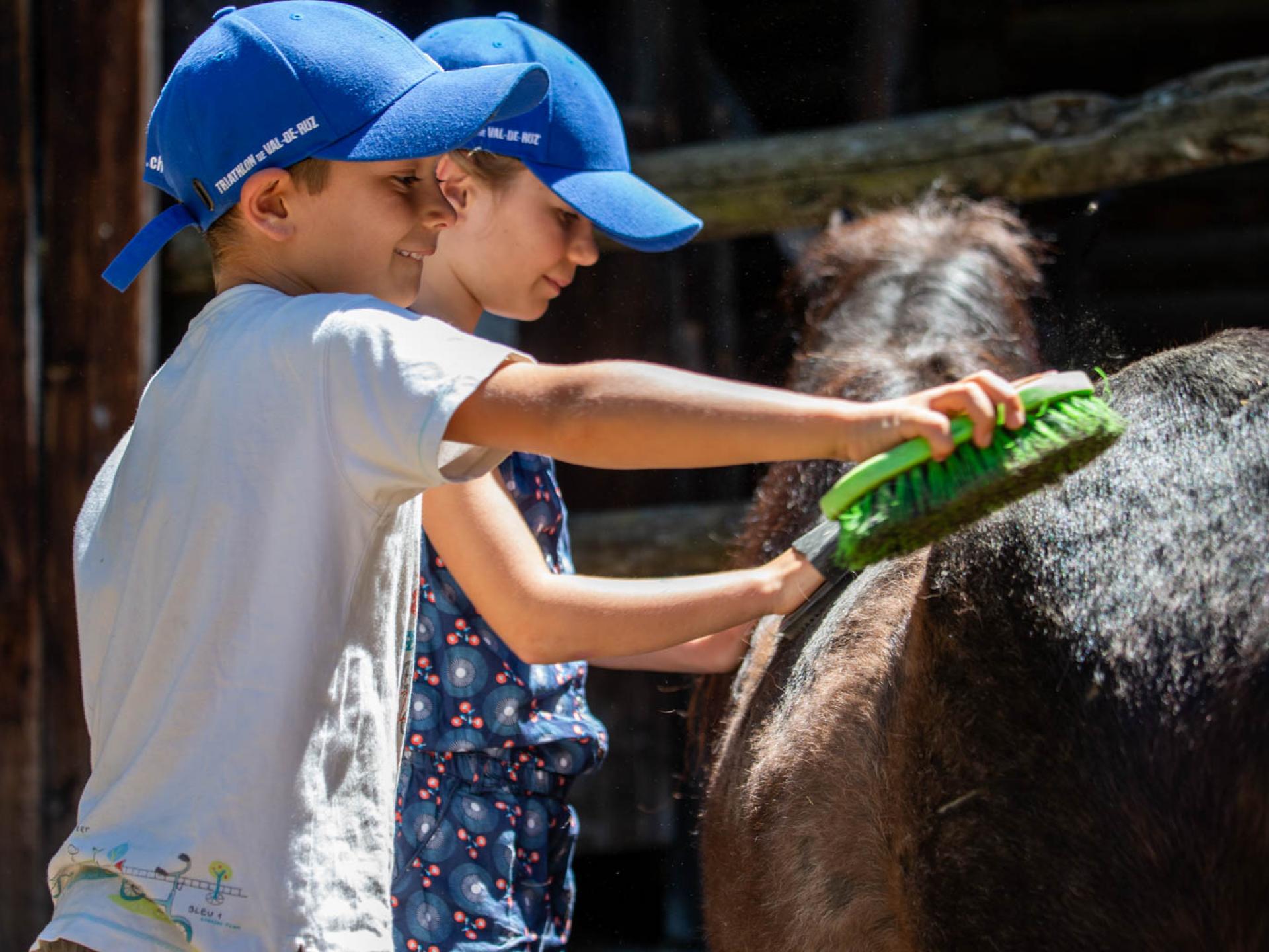 Le monde du cheval pour les enfants | Thyon Région