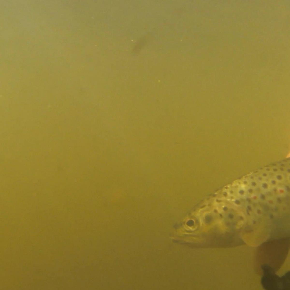 Jean-Christophe Guittard | Tourisme Creuse Limousin