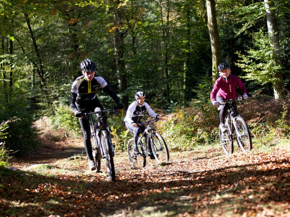 Guéret | Tourisme Creuse Limousin