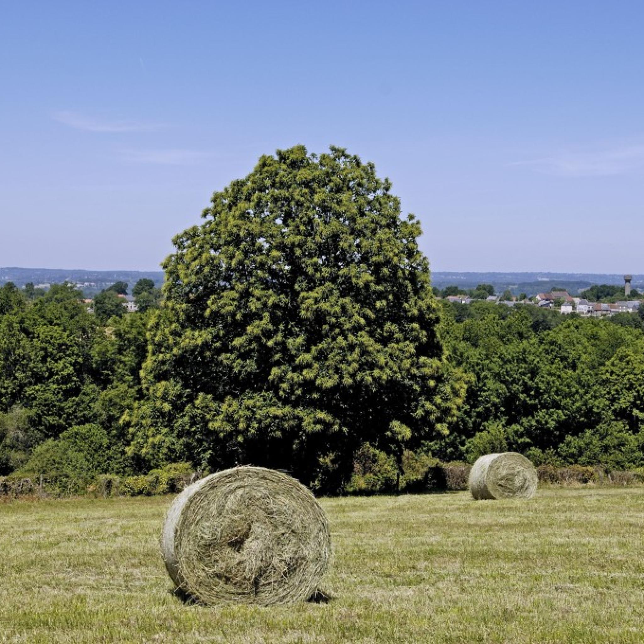 Villes et villages de notre territoire | Tourisme Creuse Limousin