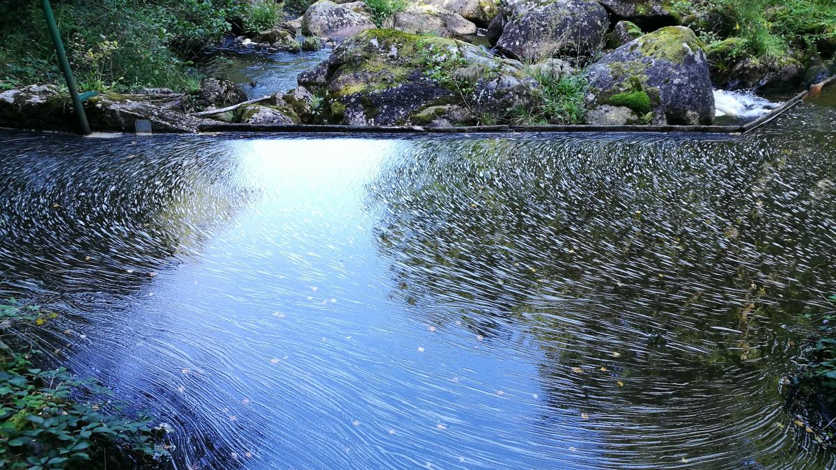 Nos incontournables 100 % nature | Tourisme Creuse Limousin