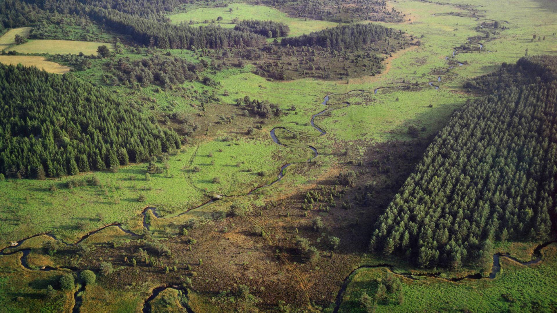 Circuit landes et tourbières de la Mazure | Tourisme Creuse Limousin