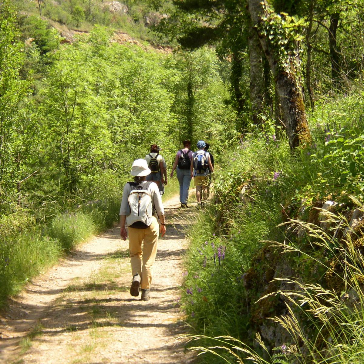 Aubusson Felletin | Tourisme Creuse Limousin