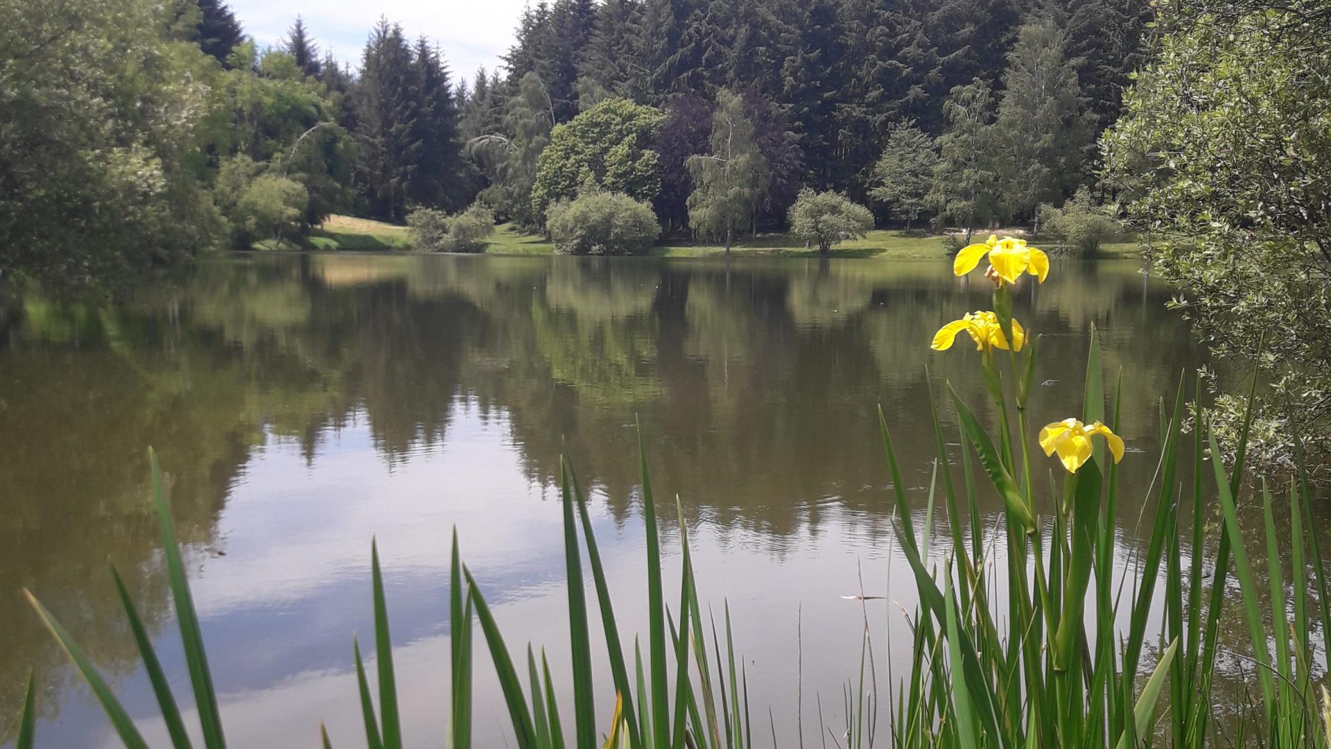 A day in Chénérailles | Tourisme Creuse Limousin