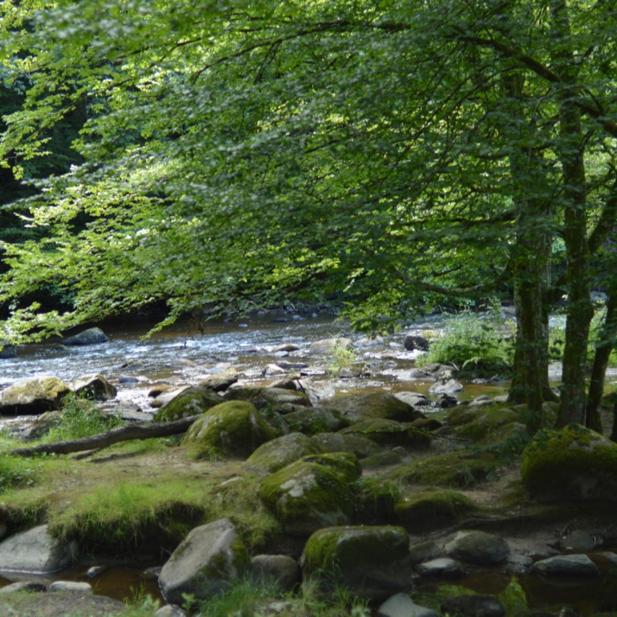 Fresselines | Tourisme Creuse Limousin