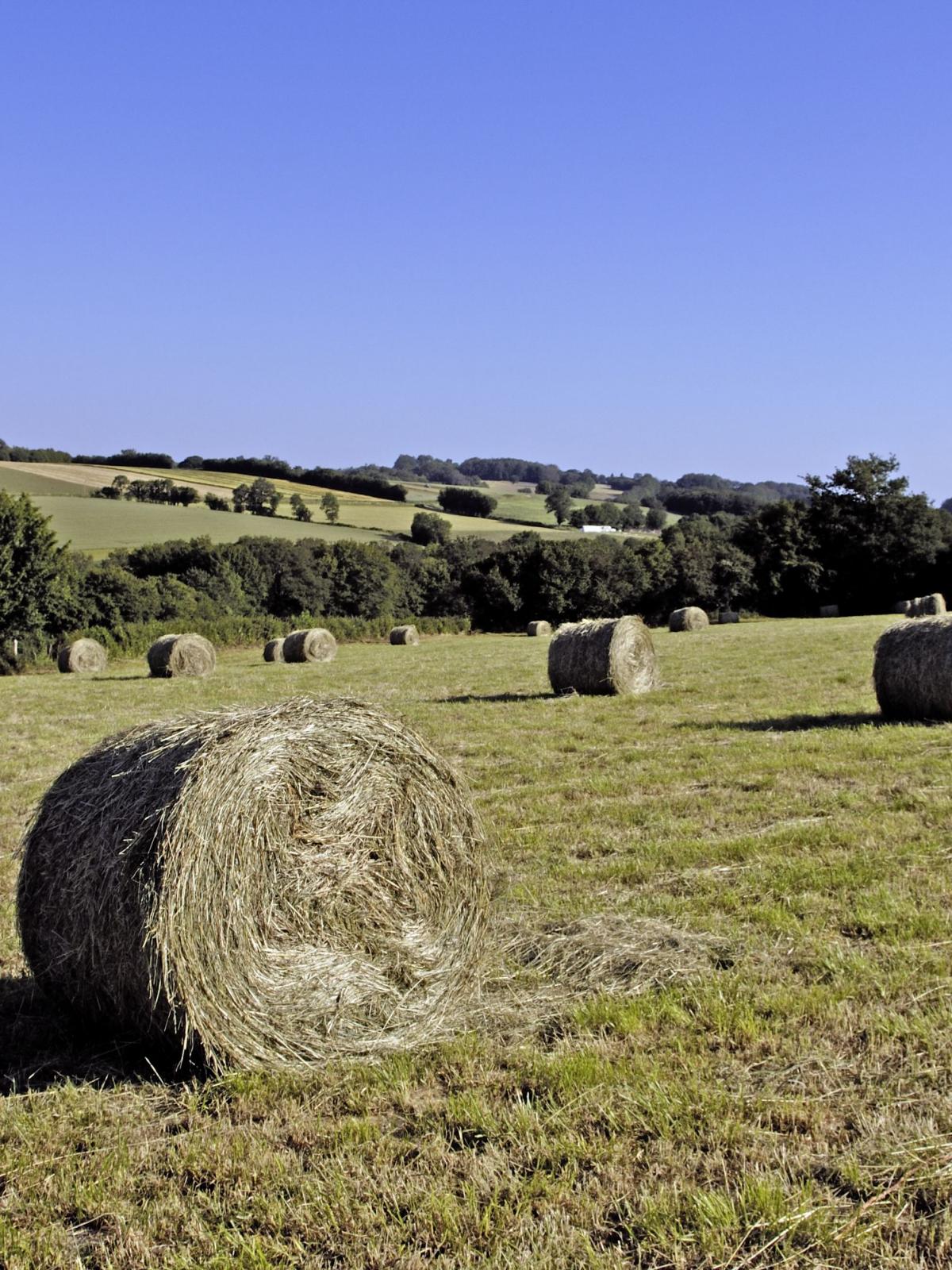 Fresselines | Tourisme Creuse Limousin