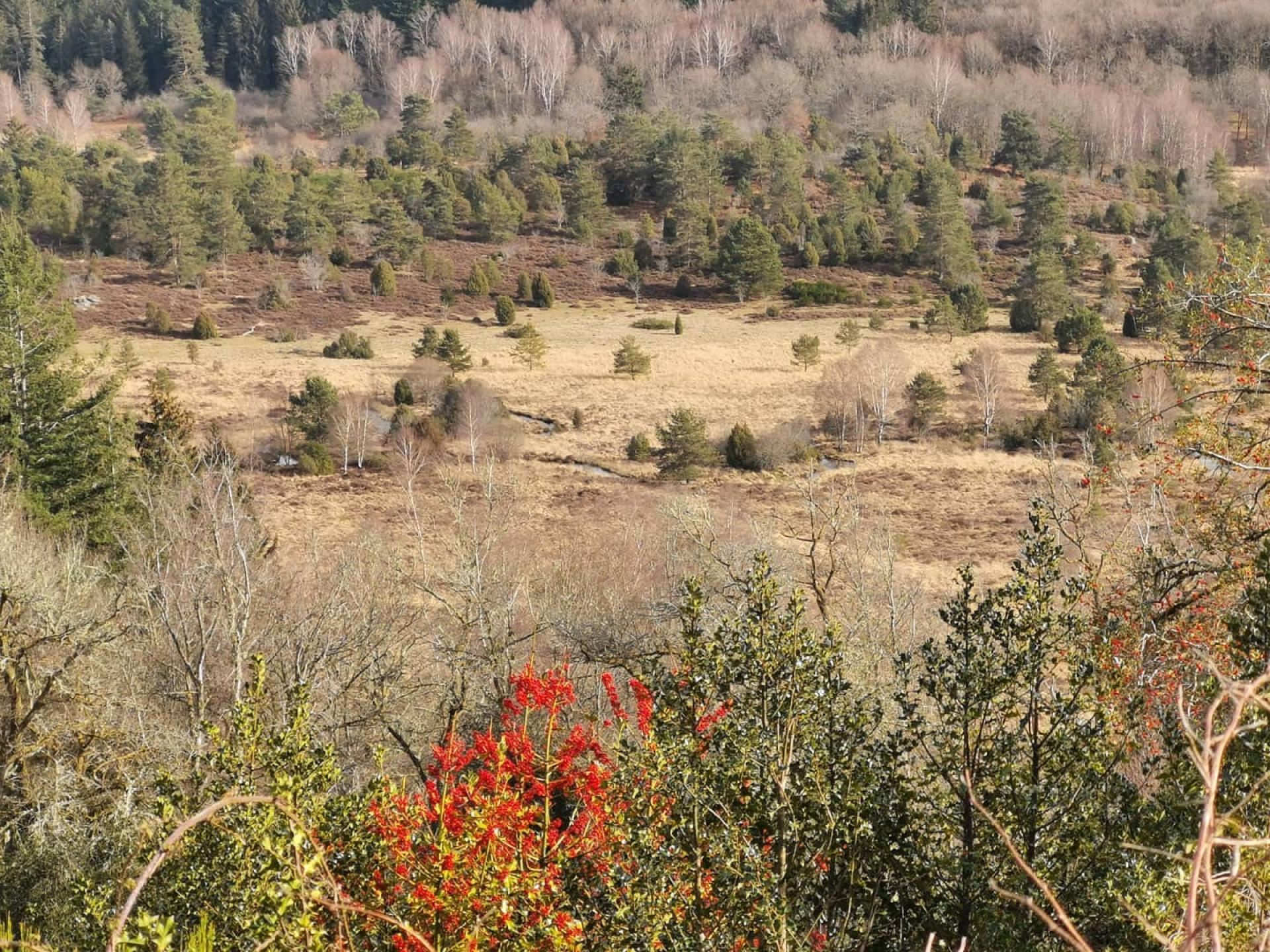 J’ai testé pour vous : randonner à la Mazure | Tourisme Creuse Limousin