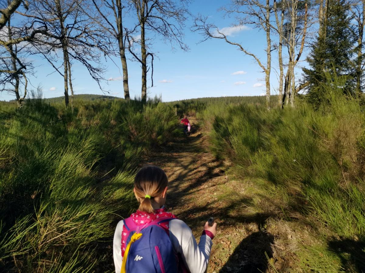 J’ai testé pour vous : randonner à la Mazure | Tourisme Creuse Limousin