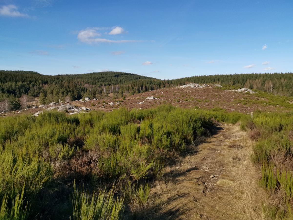 J’ai testé pour vous : randonner à la Mazure | Tourisme Creuse Limousin