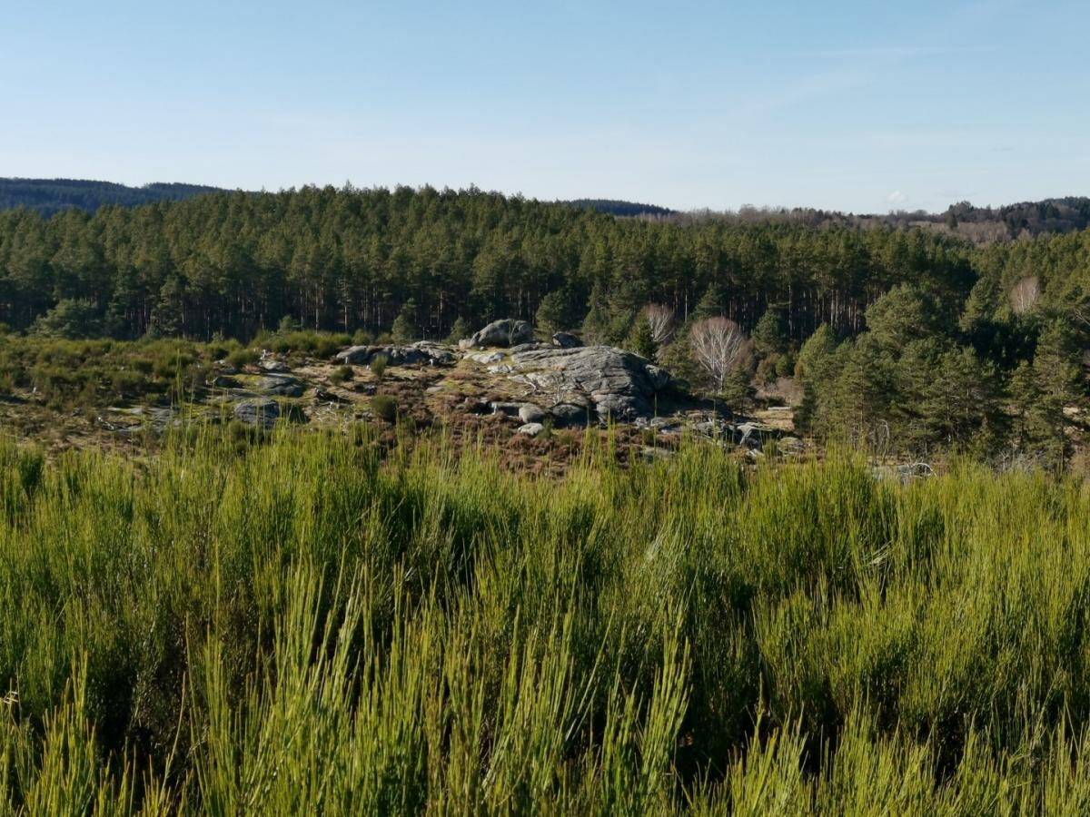J’ai testé pour vous : randonner à la Mazure | Tourisme Creuse Limousin