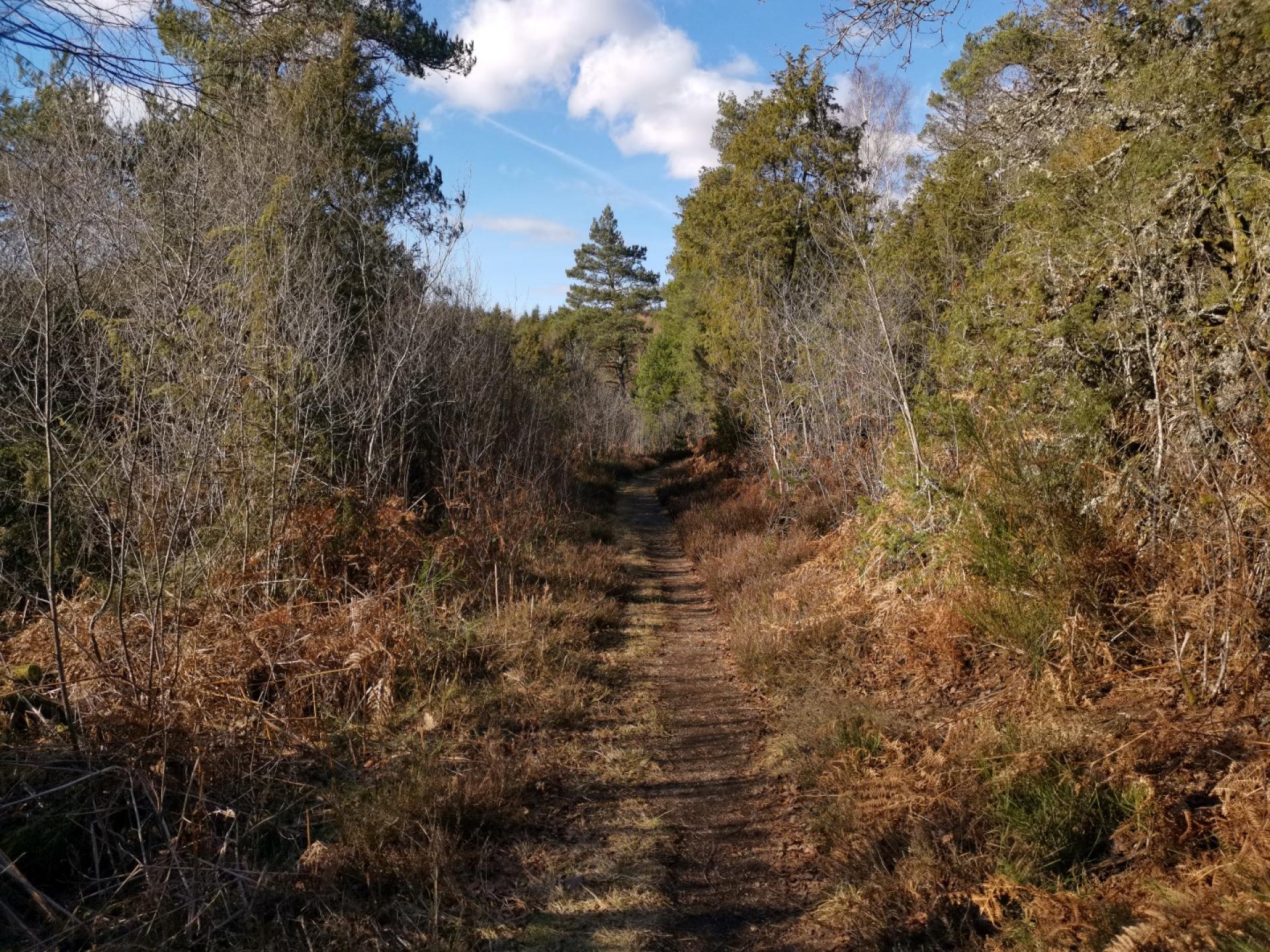 J’ai testé pour vous : randonner à la Mazure | Tourisme Creuse Limousin
