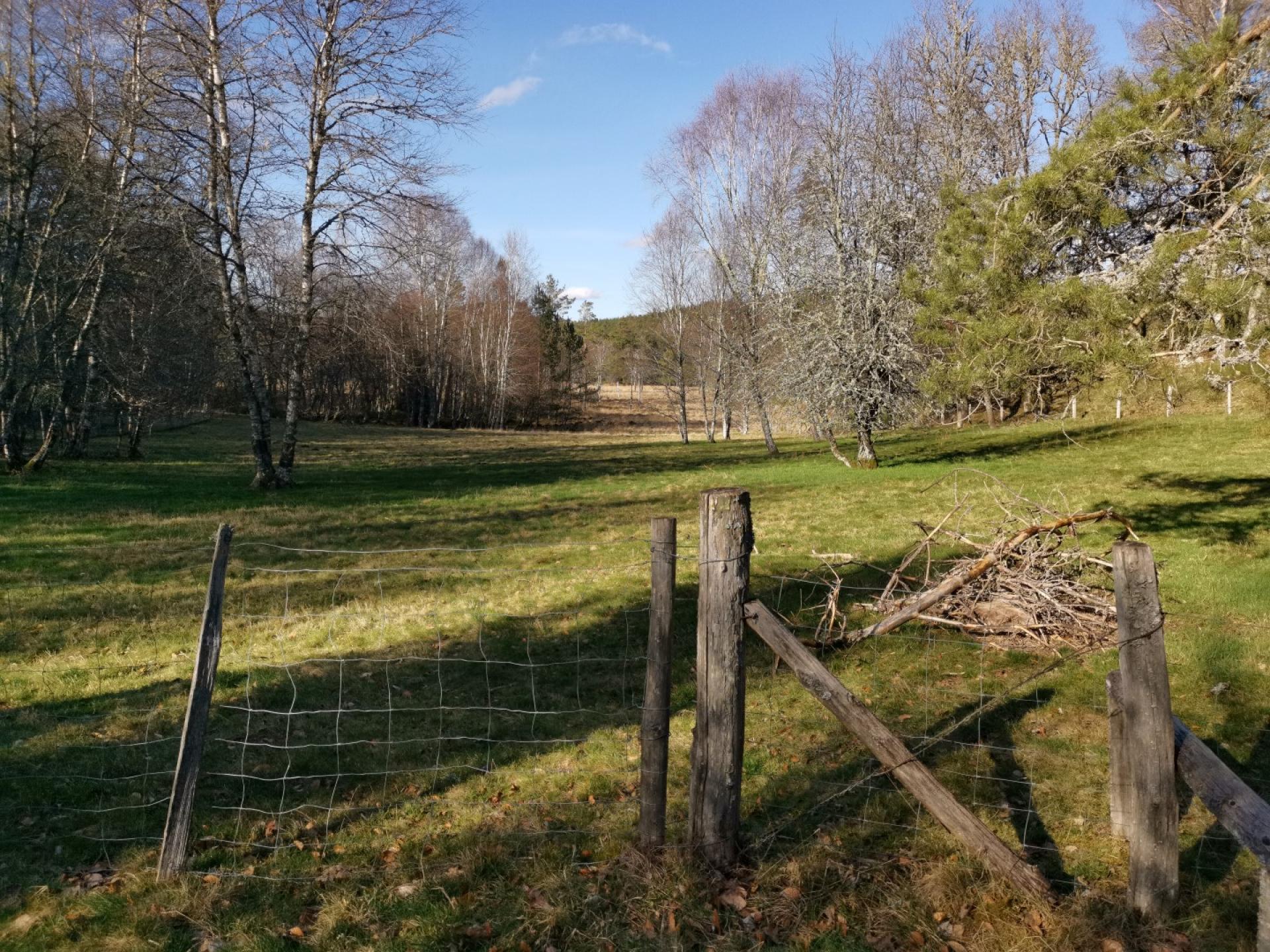 J’ai testé pour vous : randonner à la Mazure | Tourisme Creuse Limousin
